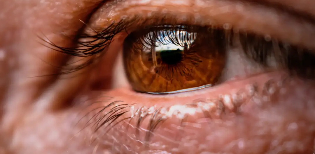 'Olo': Científicos Descubren un 'Nuevo Color' que Desafía la Percepción ...